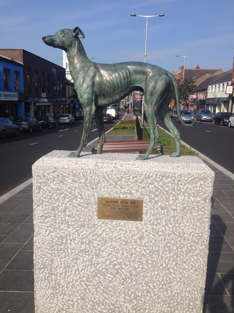 Images of Master McGrath – About Greyhounds